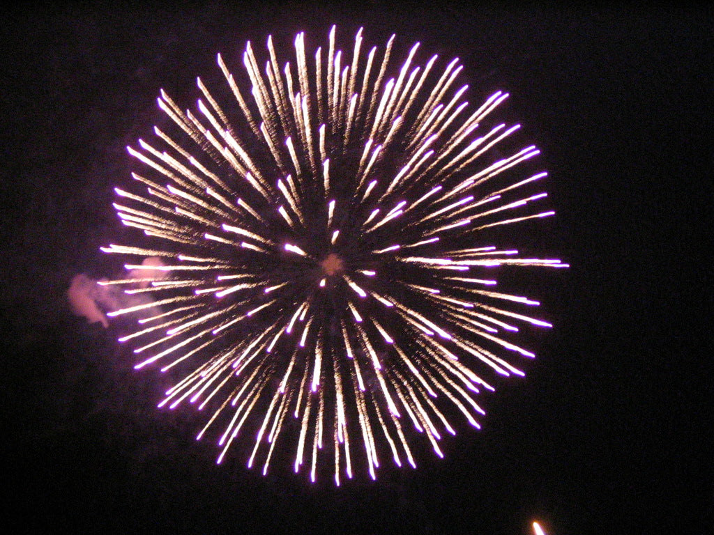 20 Reasons Why You Should Have Fireworks At Your Birthday Party — Epic ...