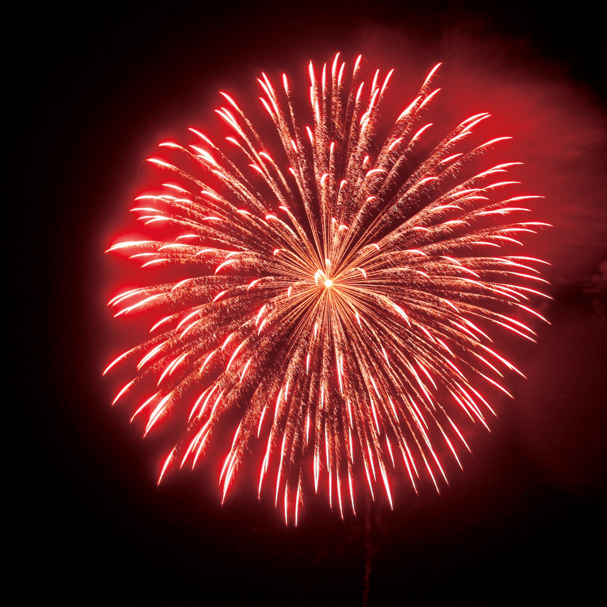 OUR TOP 5 MUST SEE FIREWORK DISPLAYS THIS BONFIRE NIGHT!!!! — Epic ...