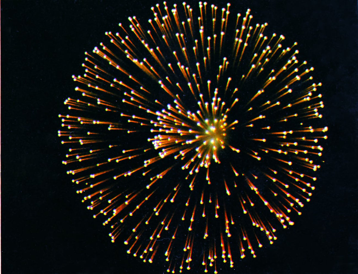 Real or Fake, still amazing — Epic Fireworks