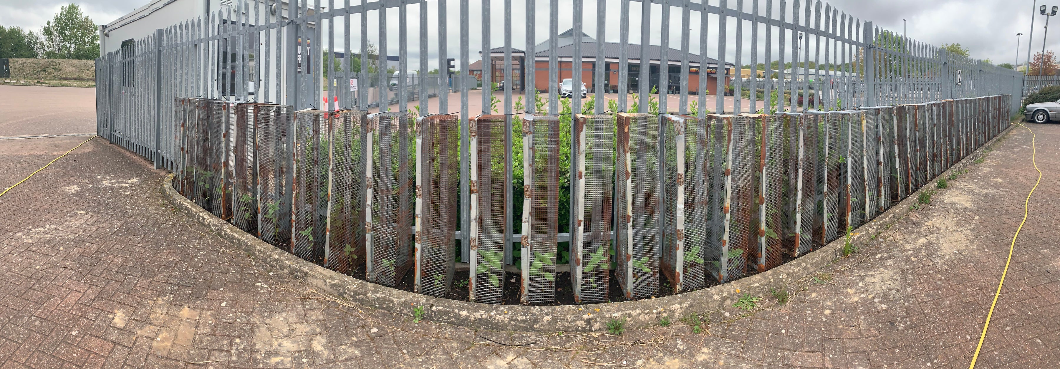 Recycling Pyro Mesh - Sunflowers — Epic Fireworks