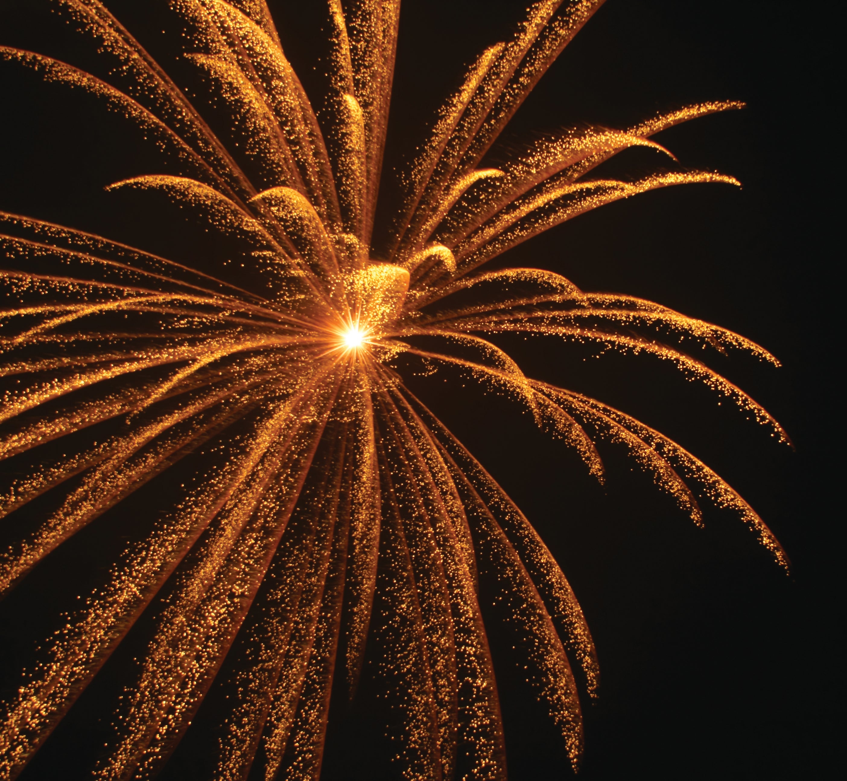 Fuji Motorsports Forest Fireworks — Epic Fireworks