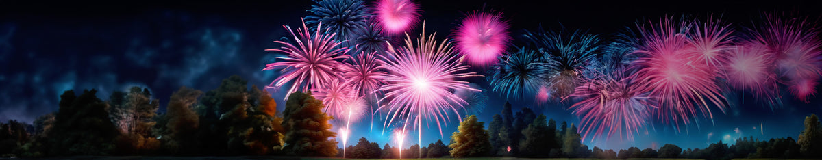 DIY Firework Displays for Gender Reveal Parties — Epic Fireworks