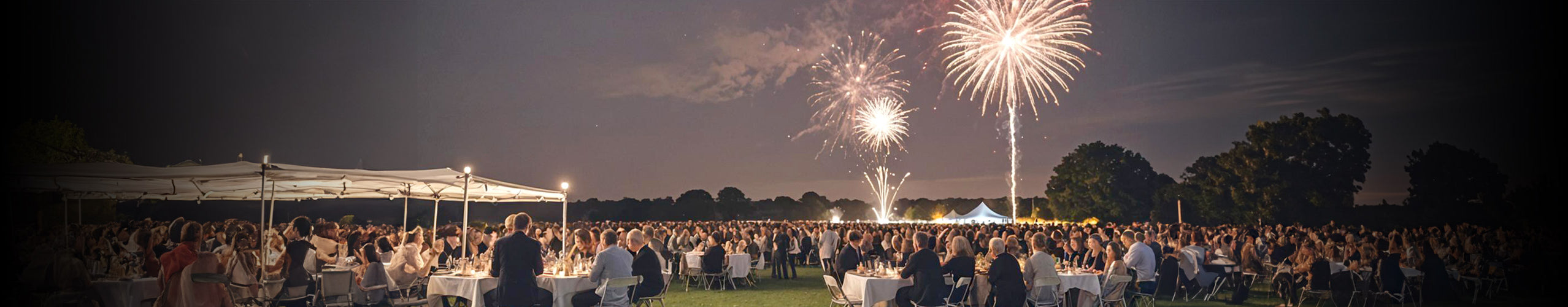 How to Choose the Right Firework Professional for Your Event — Epic ...