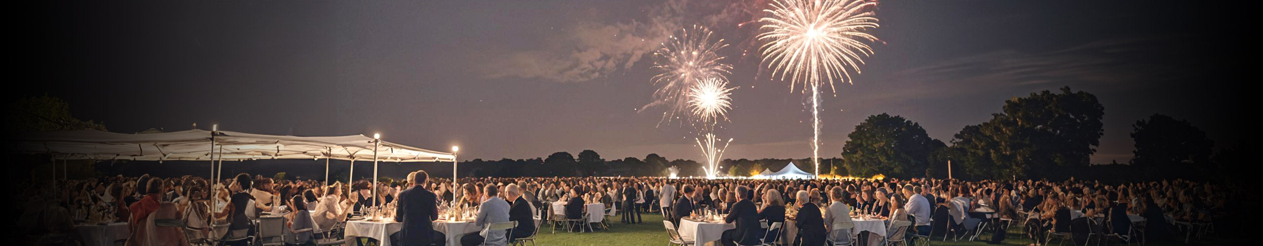 How to Choose the Right Firework Professional for Your Event — Epic ...