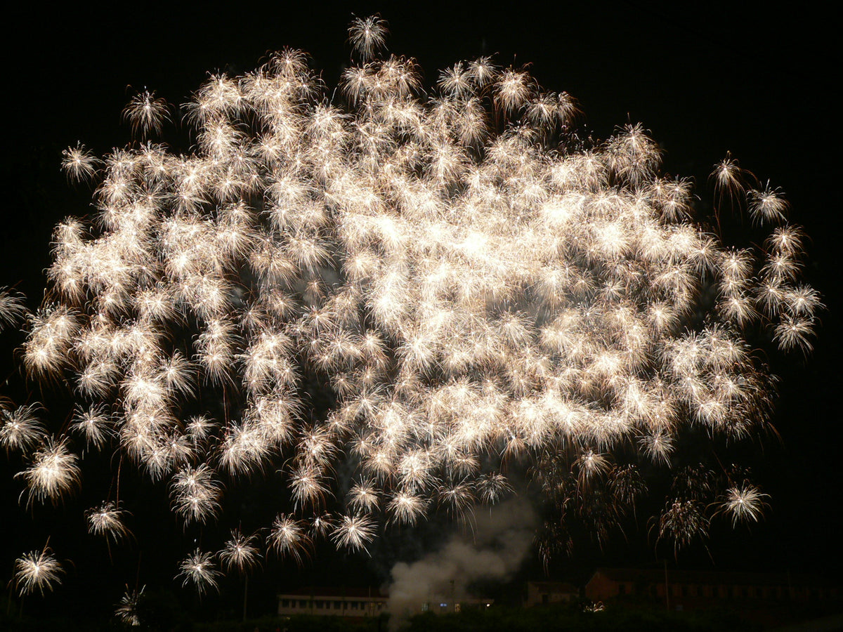 625 Shot Dragon Egg Fireworks Cake 1.3G fireworks — Epic Fireworks