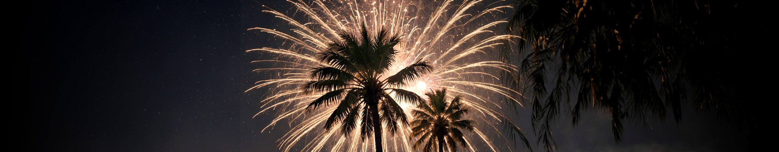 Palm Paradise: Exploring the Art and Science of the Palm Firework Effe ...