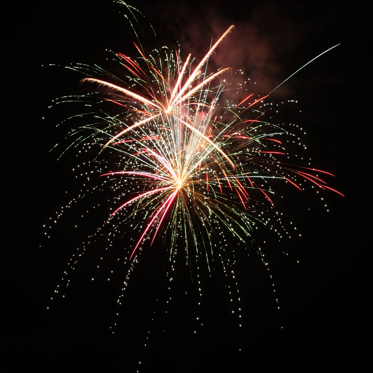 Sheffield Botanical Gardens Fireworks — Epic Fireworks