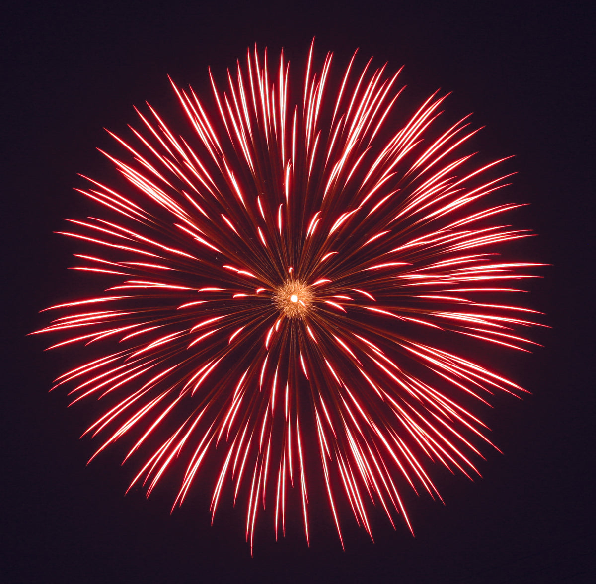 Sumidagawa Fireworks Festival 2023 — Epic Fireworks