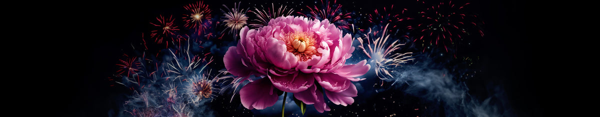 Blooming Beauties: Exploring the Art and Science of the Peony Firework ...