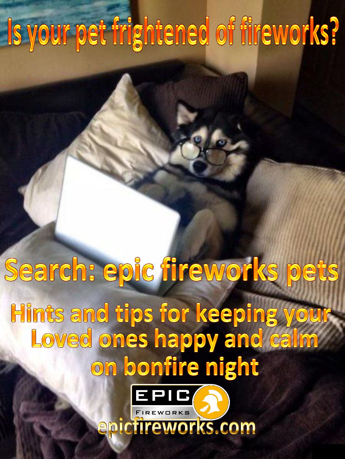 Ear Muffs For Dogs - Canine Audio Sense — Epic Fireworks