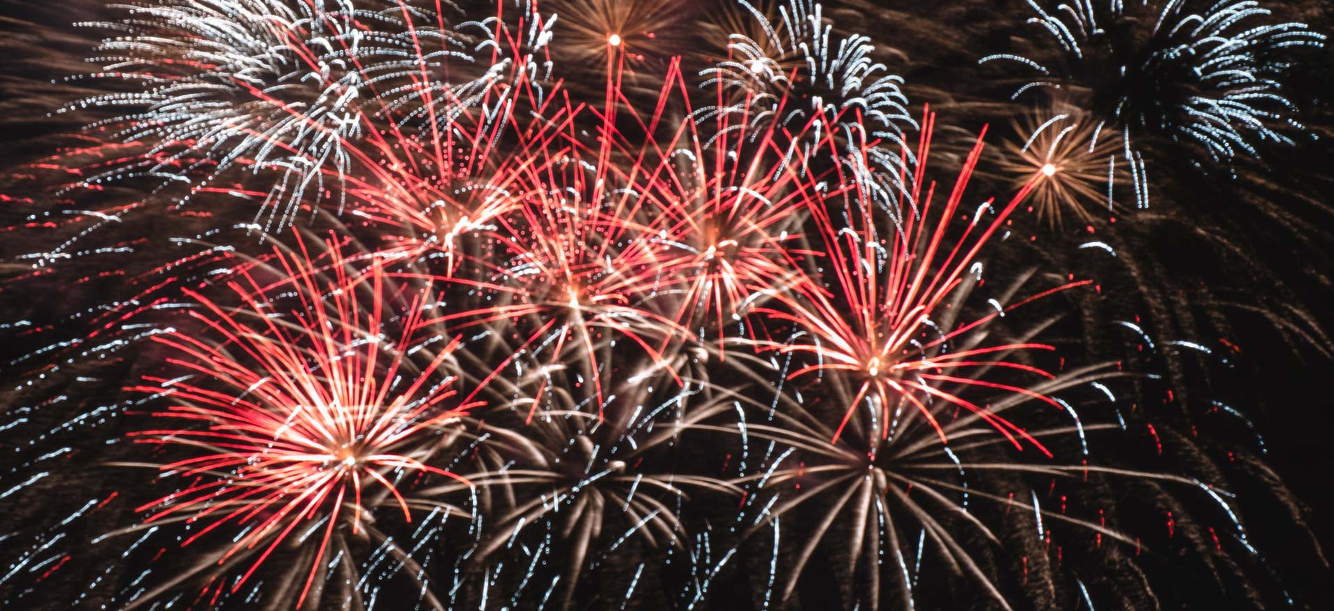 Essential Guide to Fireworks for Beginners: Safety, Effects, and Displ ...